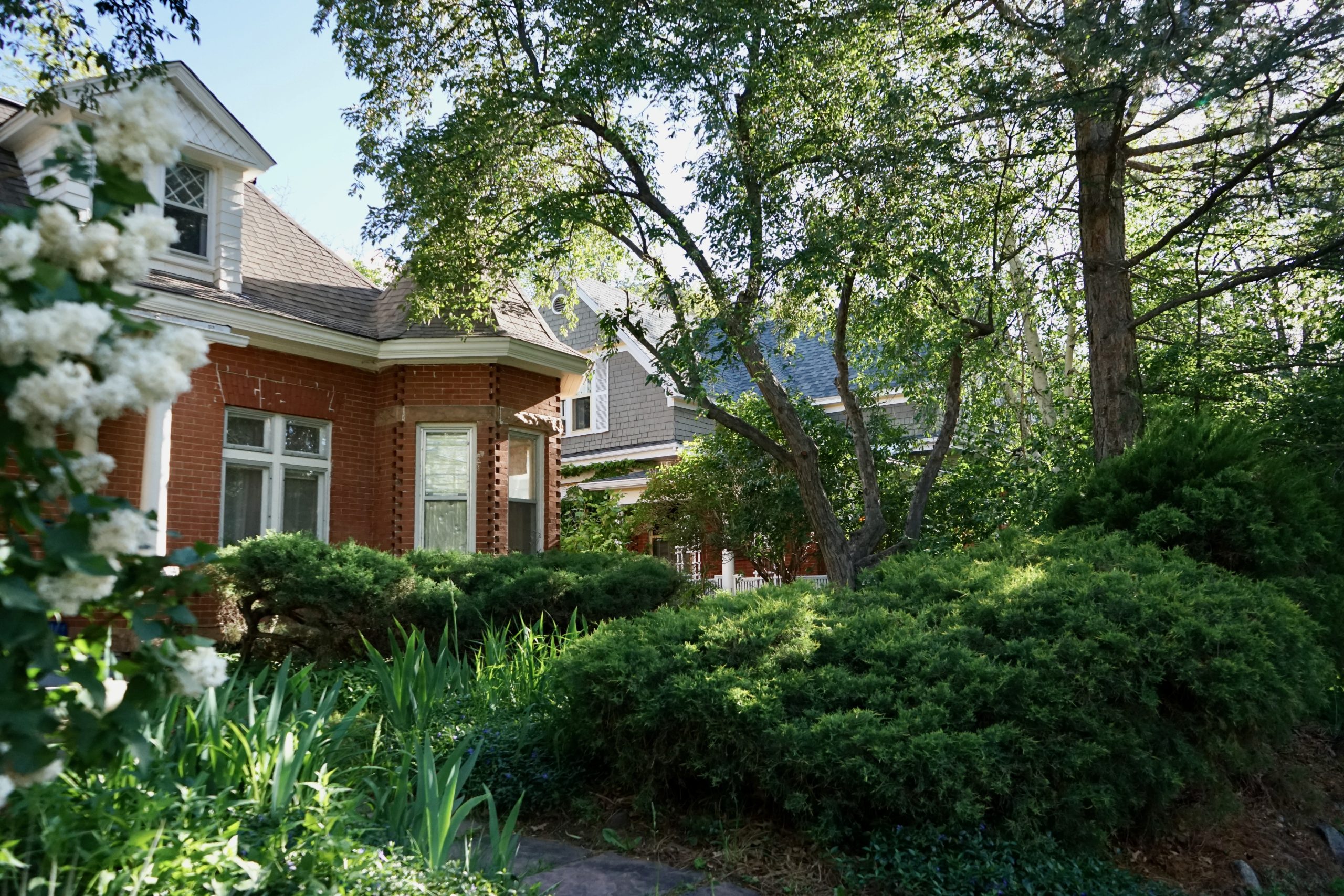 Boulder City Council approves major landscaping code overhaul